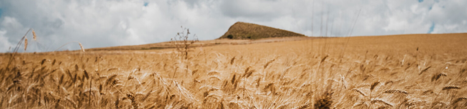 Faqs - Incao Holiday